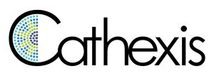 Cathexis Consulting – Evaluation Experts